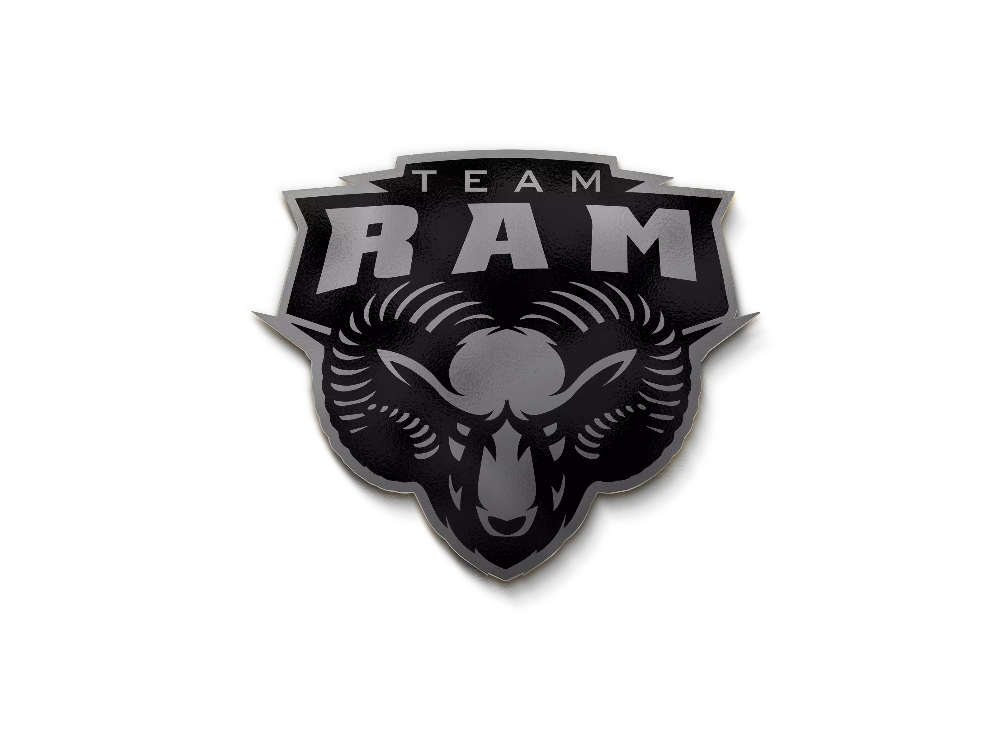RAM Coaching | Programs