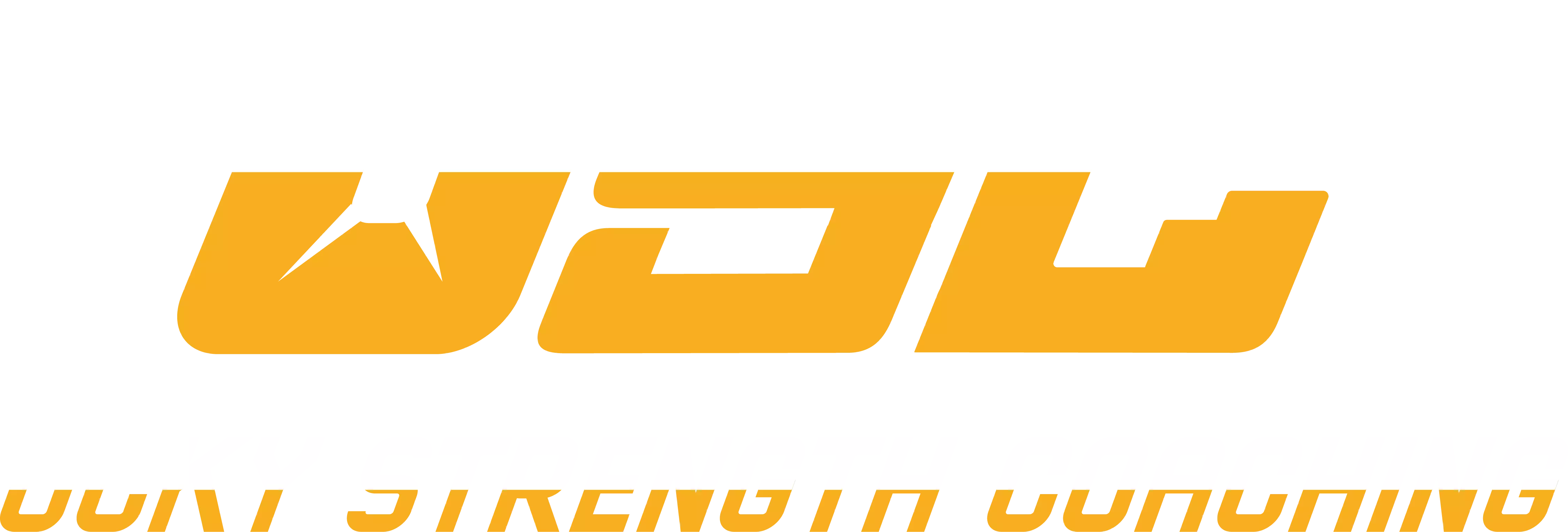 Ocky Strength Coaching | Programs